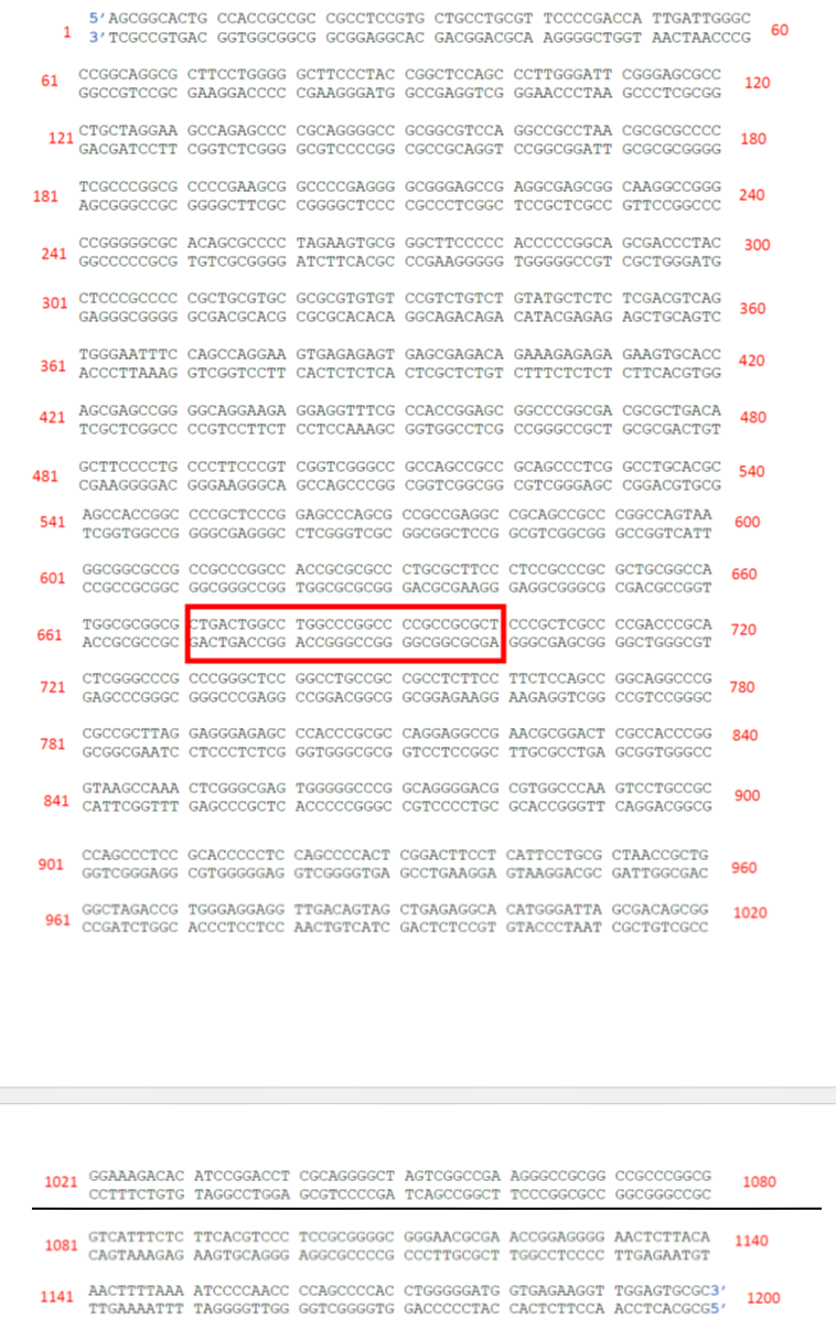 Solved 1. ﻿Design a forward and a reverse primer to amplify | Chegg.com
