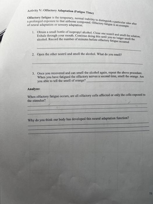 Solved Activity V: Olfactory Adaptation (Fatigue Time) | Chegg.com