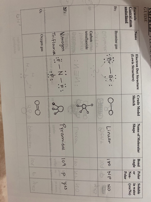 Solved VSEPR Lab GUIDE Name Crude Model Sketch Electron Dot Chegg Solved VSEPR Lab GUIDE Name Crude Model Sketch Electron Dot Chegg