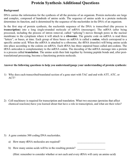 Solved Protein Synthesis Additional Questions Background DNA | Chegg.com