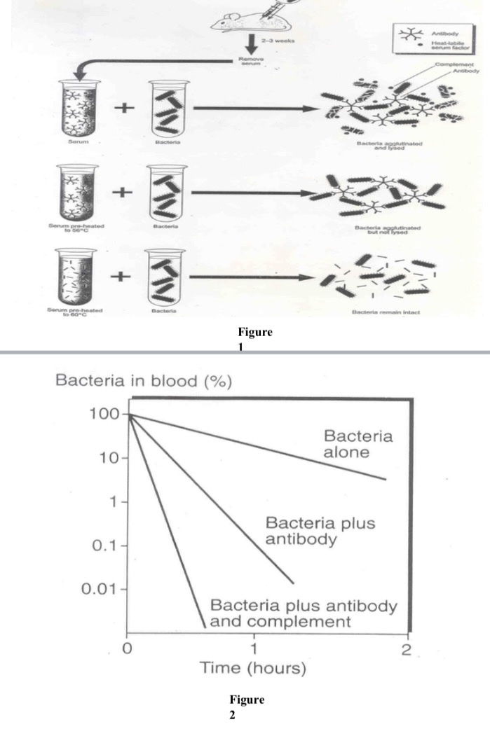 Solved Describe the data shown in Figure 1 ﻿Explain the | Chegg.com