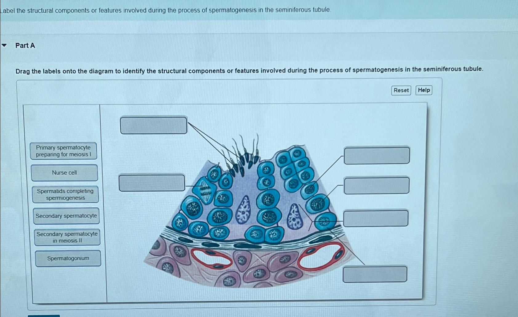 Solved Label the structural components or features involved | Chegg.com