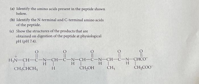 Solved (a) Identify the amino acids present in the peptide | Chegg.com
