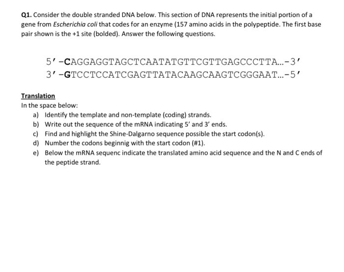 Solved Q1. Consider the double stranded DNA below. This | Chegg.com