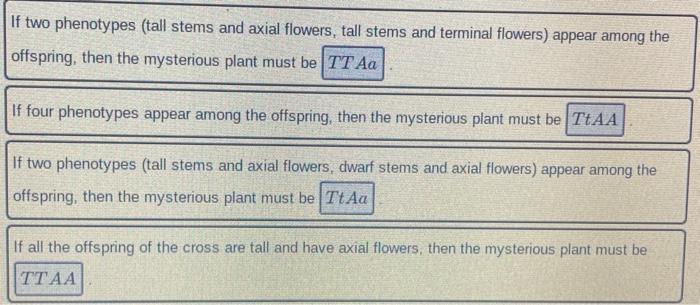 If two phenotypes (tall stems and axial flowers, tall | Chegg.com