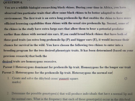 Solved Font Paragraph Parent 2: Heterozygous for the | Chegg.com