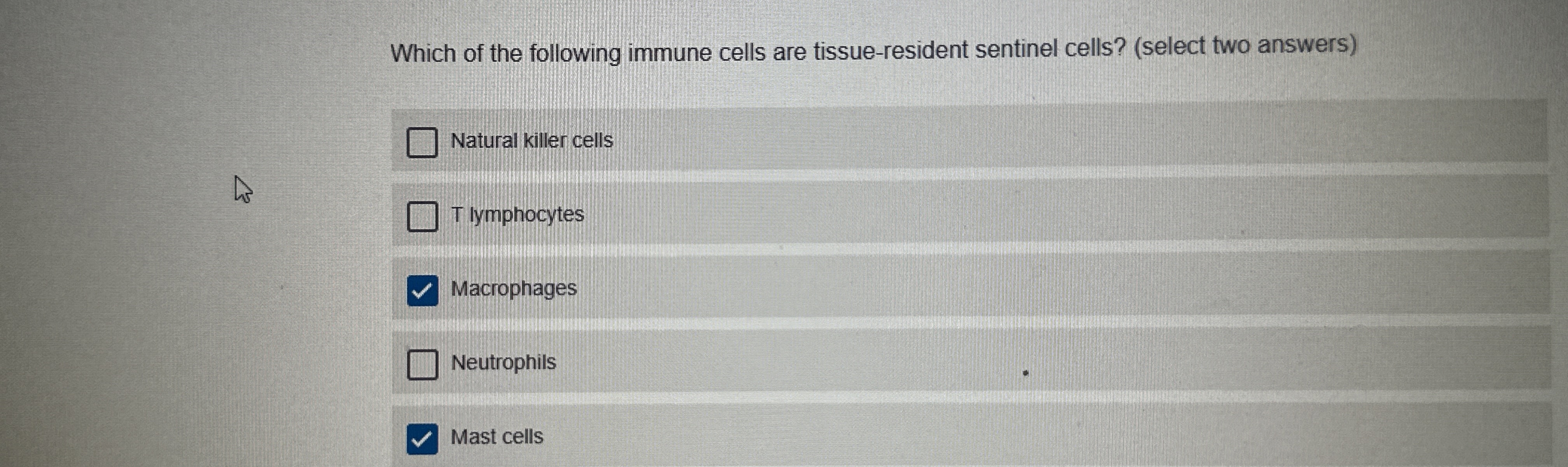 Solved Which of the following immune cells are | Chegg.com
