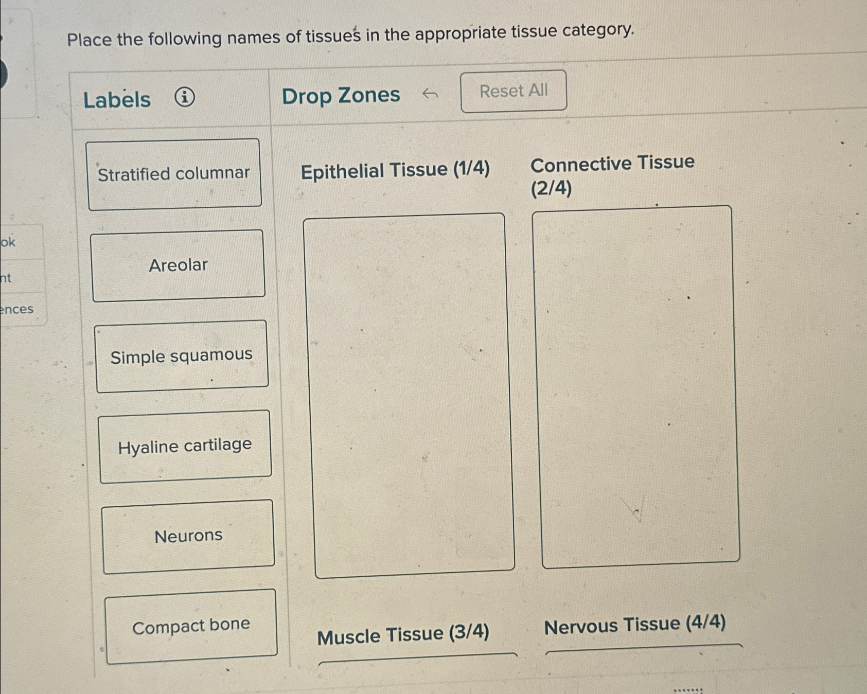 Solved Place the following names of tissues in the | Chegg.com