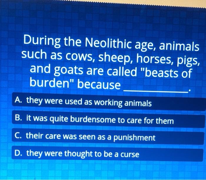 Solved During the Neolithic age, animals such as cows, | Chegg.com