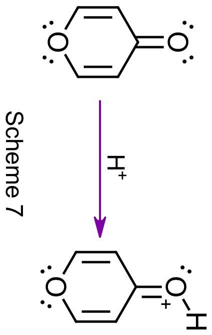 Solved On reaction with acid, 4-pyrone is protonated on the | Chegg.com