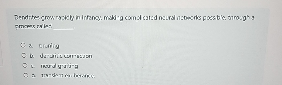 Solved Dendrites grow rapidly in infancy, making complicated | Chegg.com