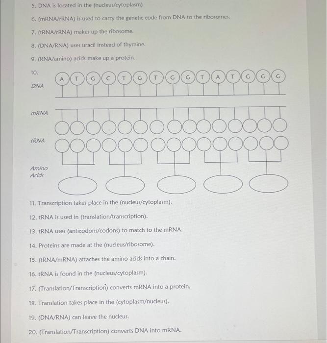Solved Directions: 1. Use the DNA code to create your mRNA | Chegg.com