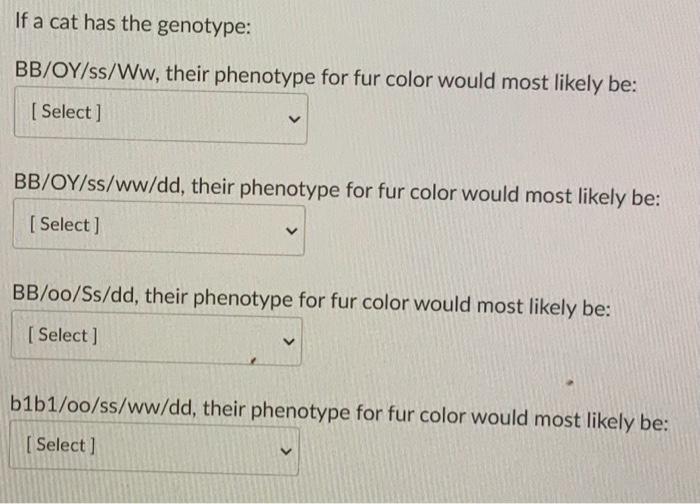 Solved If a cat has the genotype: BB/OY/ss/Ww, their | Chegg.com