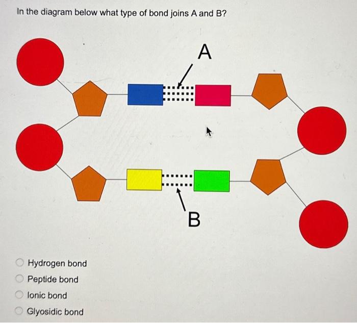 Solved In the diagram below what type of bond joins A and B | Chegg.com