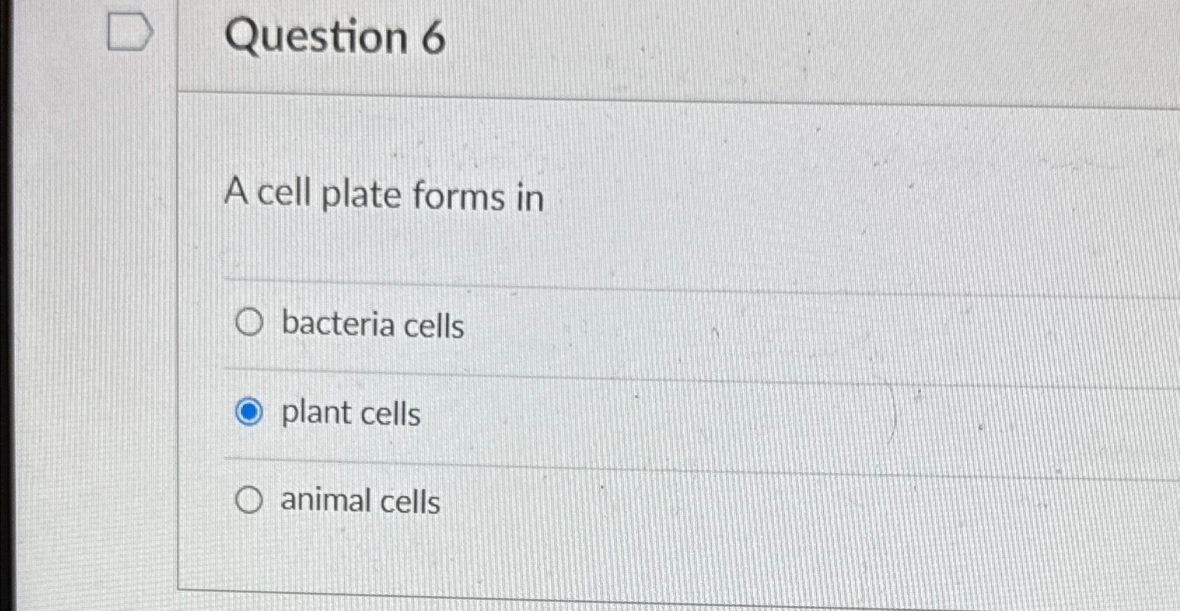 Solved Question 6A cell plate forms inbacteria cellsplant | Chegg.com