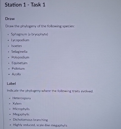 Solved Station 1 - ﻿Task 1DrawDraw the phylogeny of the | Chegg.com