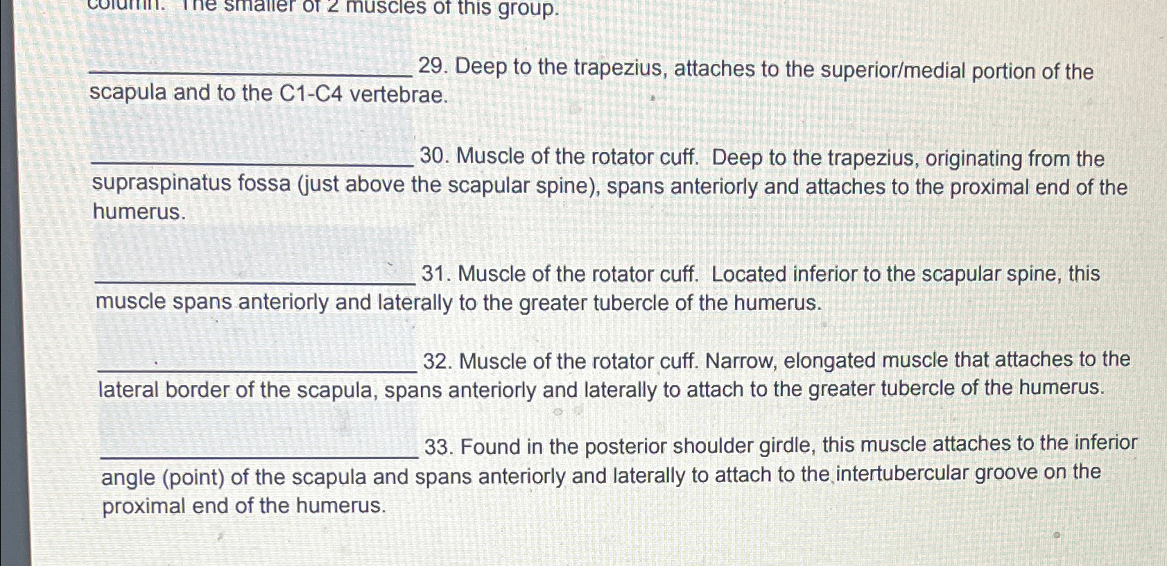 Solved Deep to the trapezius, attaches to the | Chegg.com