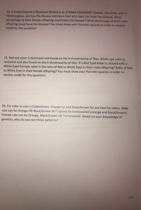 Solved 1. In humans, a widow's peak hairline (H) has | Chegg.com