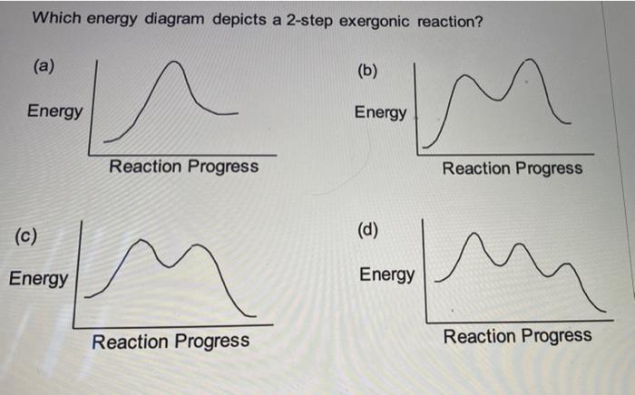 Solved Which energy diagram depicts a 2-step exergonic | Chegg.com