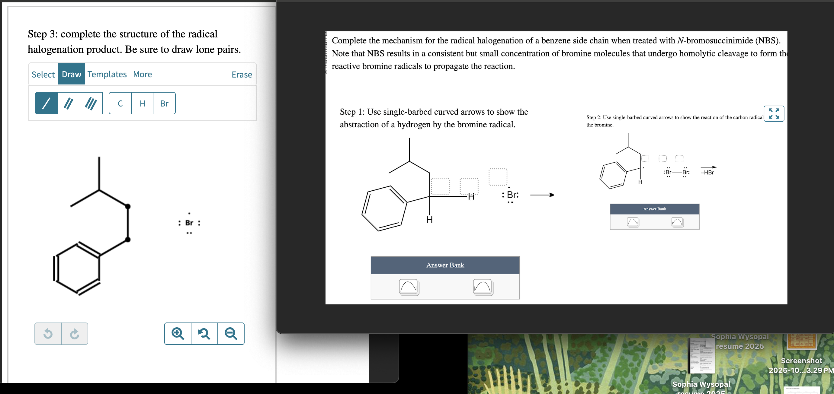 Solved Complete the mechanism for the radical halogenation | Chegg.com