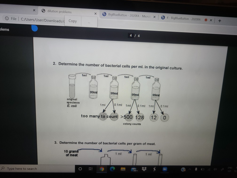 Solved dilution problems Х 6 BigBlueButton - 2020FA - Microb | Chegg.com