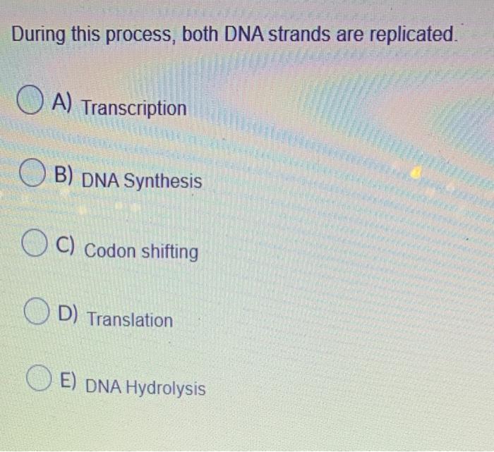Solved During this process, both DNA strands are replicated. | Chegg.com