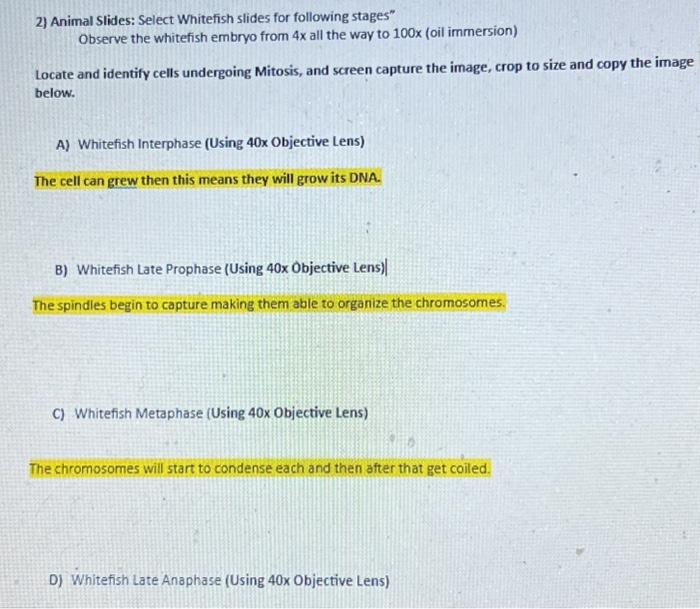 Solved 2) Animal Slides: Select Whitefish slides for | Chegg.com