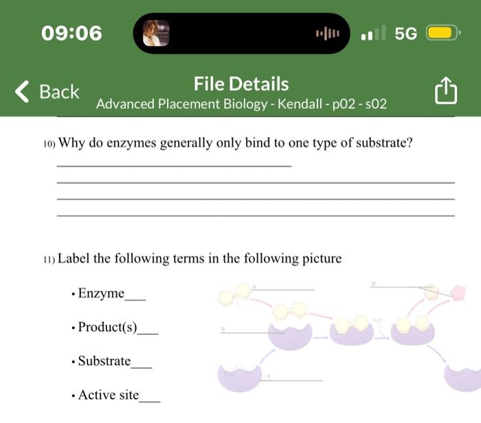 Solved 10) Why do enzymes generally only bind to one type of | Chegg.com