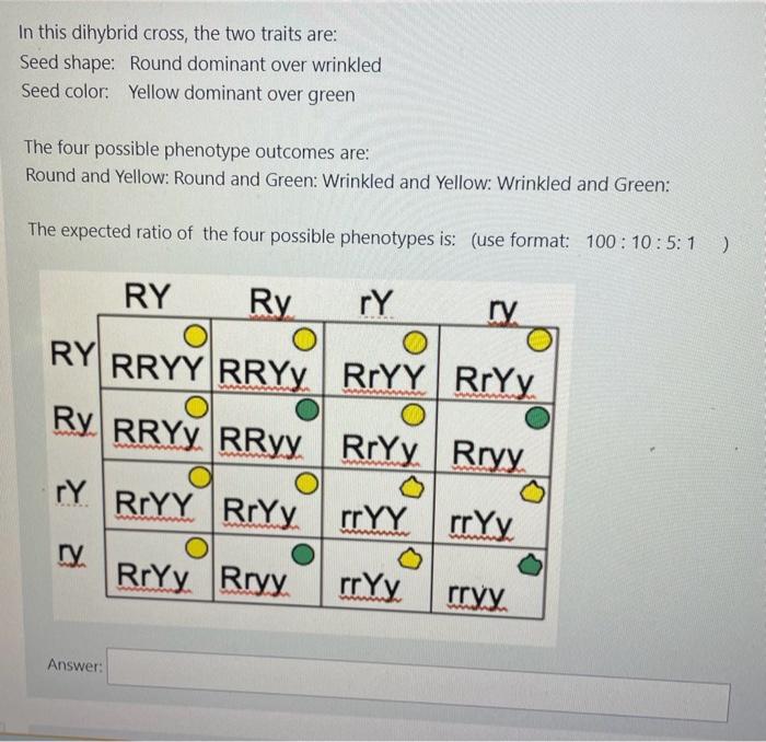 punnet square | Chegg.com