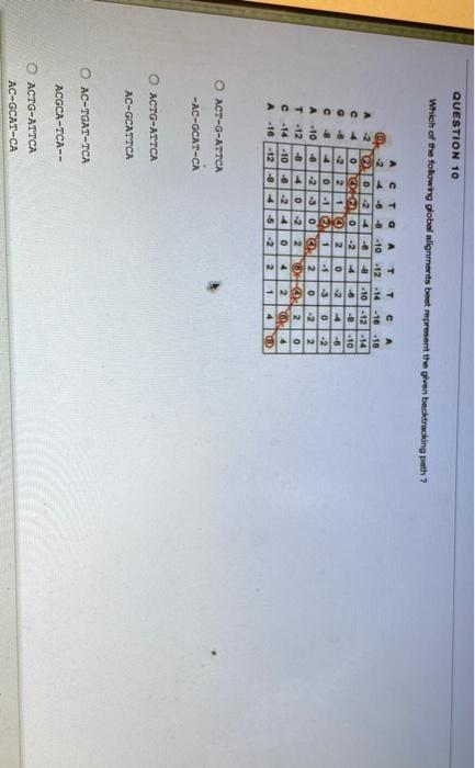 Solved QUESTION 10 Which of the following global alignments | Chegg.com