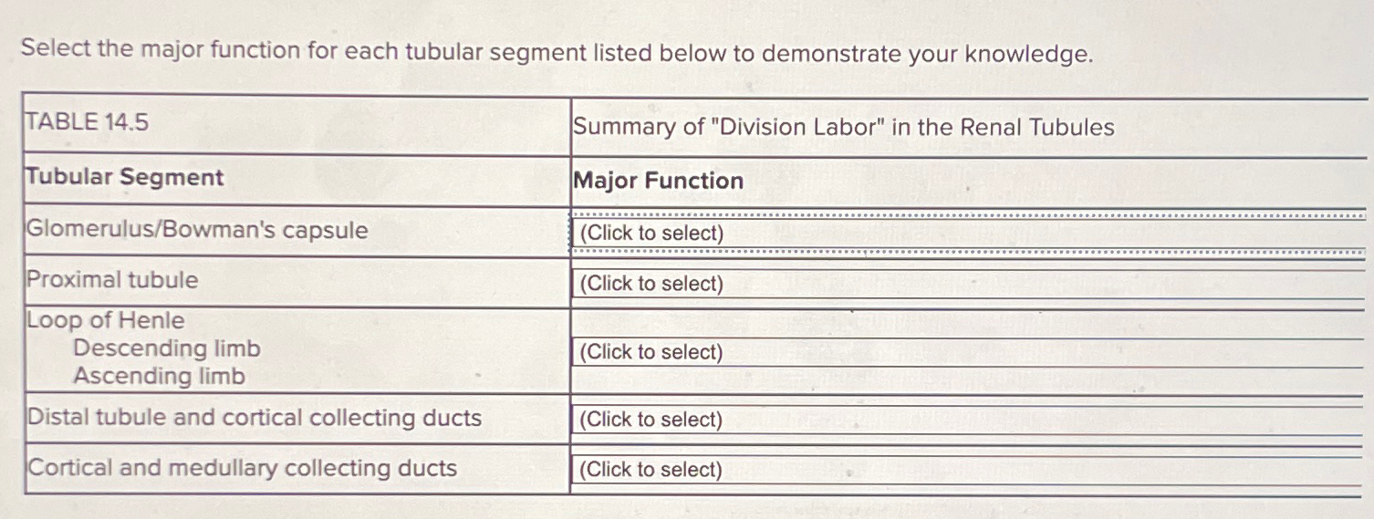 Solved Select the major function for each tubular segment | Chegg.com