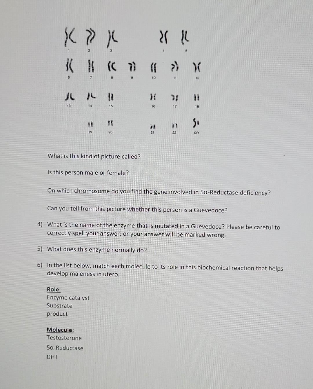 Solved Biology for Health Sciences Lab Spring 2022 Extra | Chegg.com