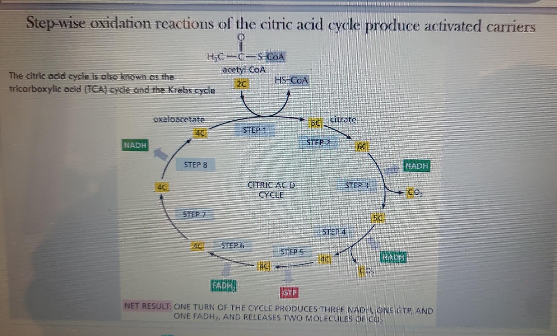 Solved Step-wise oxidation reactions of the citric acid | Chegg.com