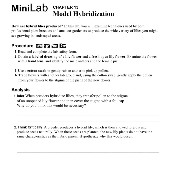 Solved MiniLab CHAPTER 13 Model Hybridization How are hybrid | Chegg.com