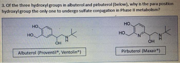 Solved 3. Of the three hydroxyl groups in albuterol and | Chegg.com