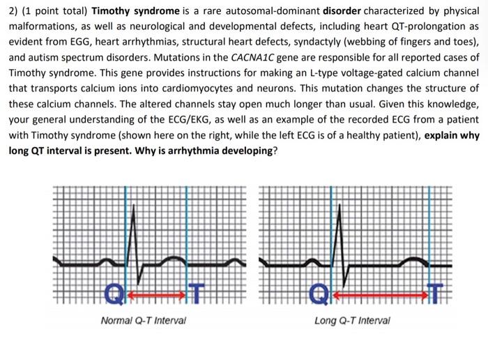Solved 2) (1 point total) Timothy syndrome is a rare | Chegg.com