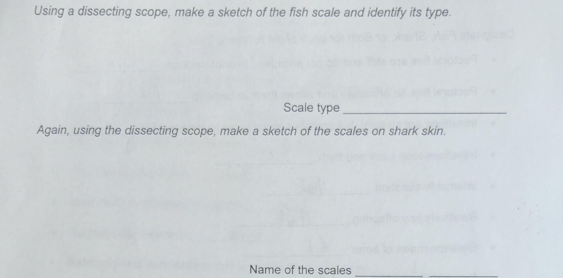 Solved Using a dissecting scope, make a sketch of the fish | Chegg.com