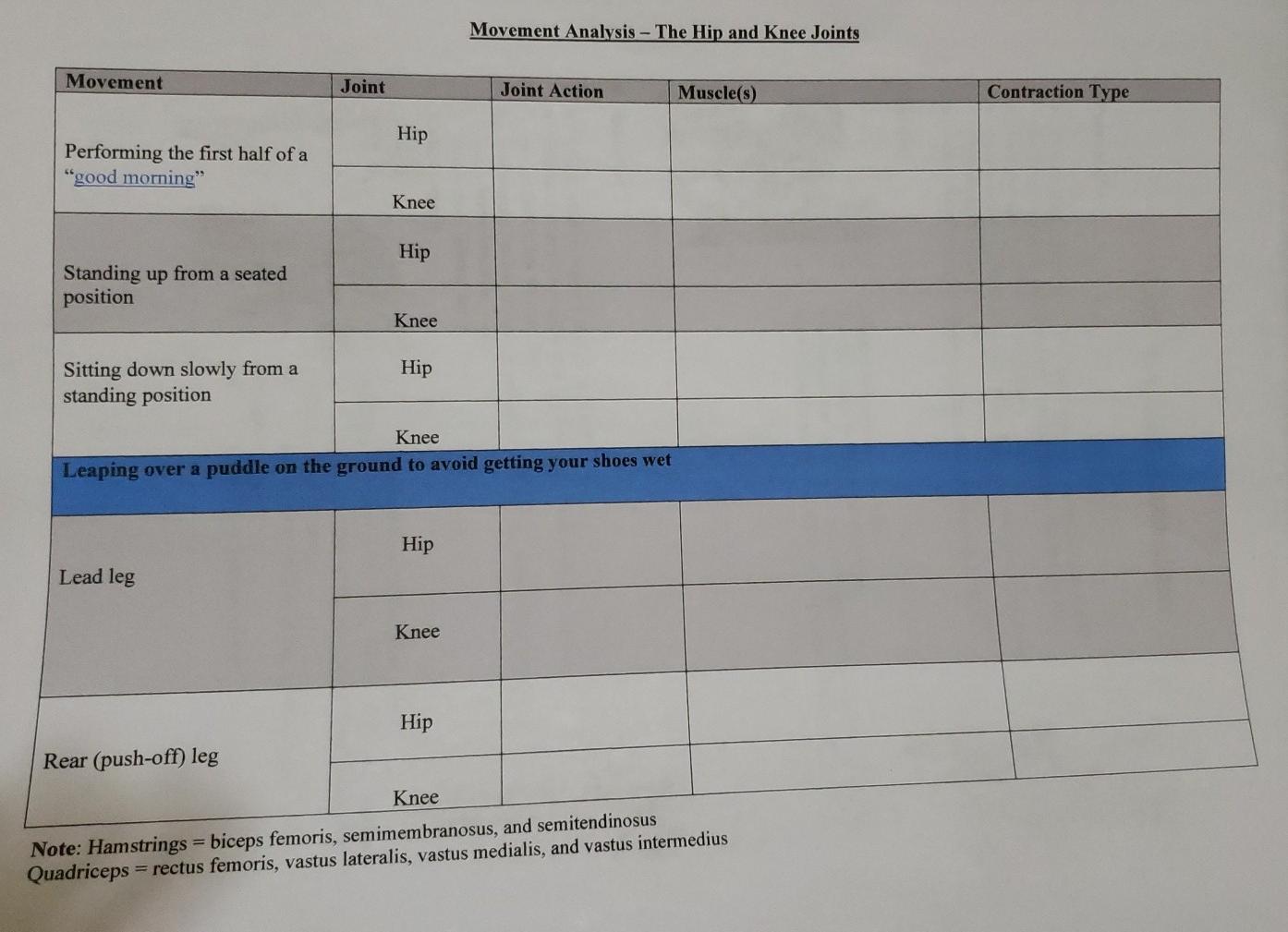 Solved Movement Analysis - The Hip and Knee Joints Movement | Chegg.com