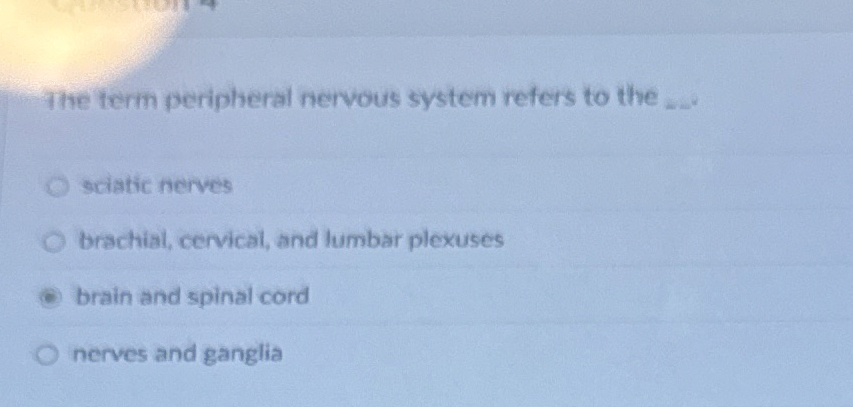 Solved The term peripheral nervous system refers to the | Chegg.com
