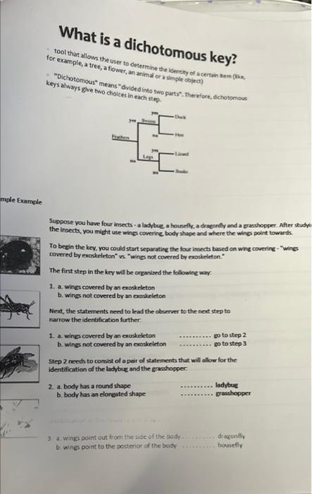 Solved Steps of Dichotomous Key: 1A Go to step/Name of | Chegg.com