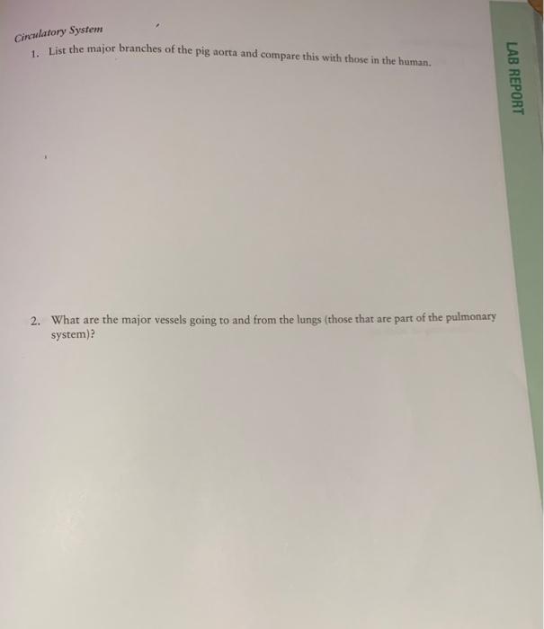 Solved Cinculatory System 1. List the major branches of the | Chegg.com