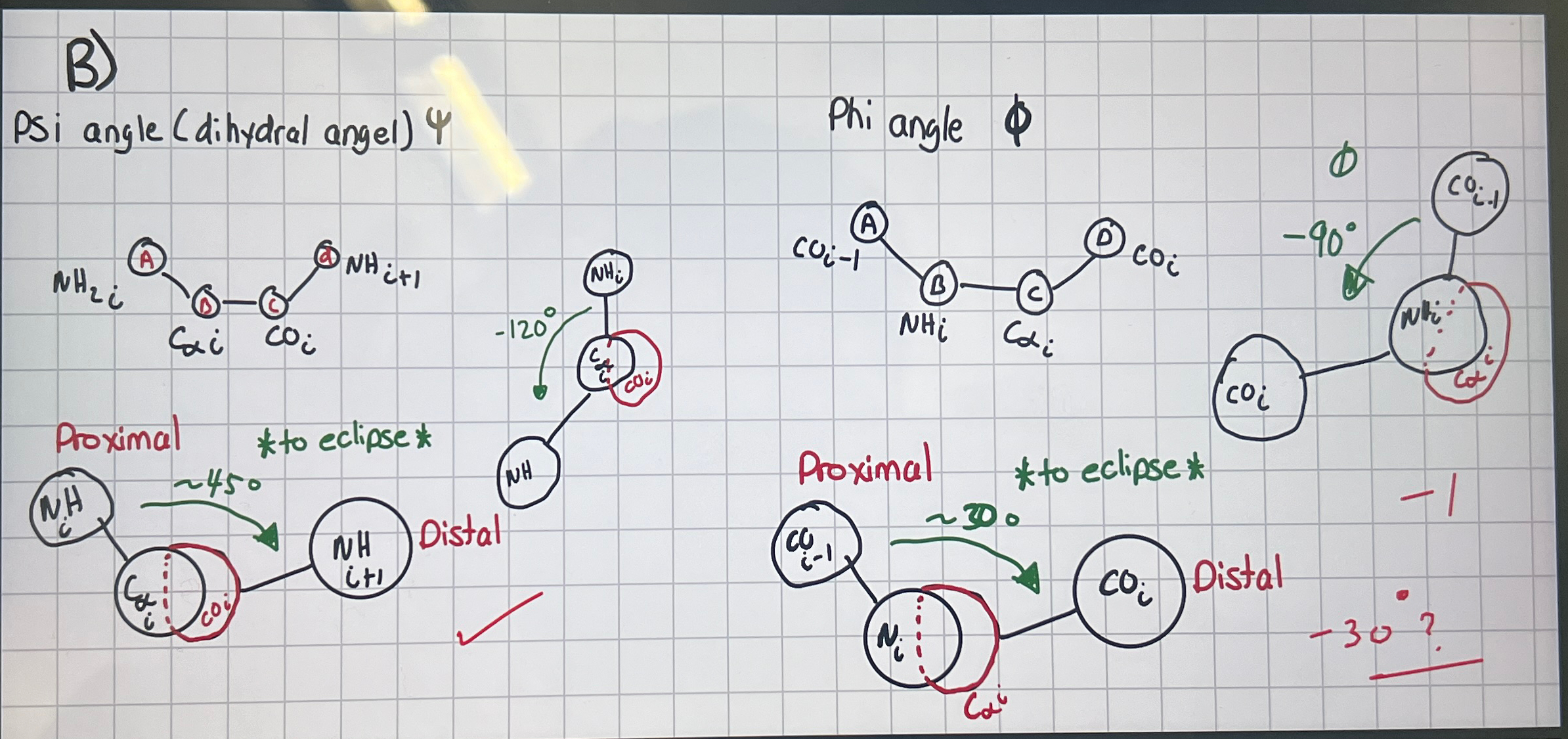 Solved The conformation of a polypeptide can be describe | Chegg.com