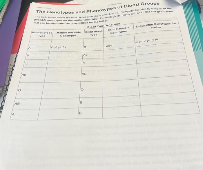 Solved The Genotypes and Phenotypes of Blood Groups The | Chegg.com