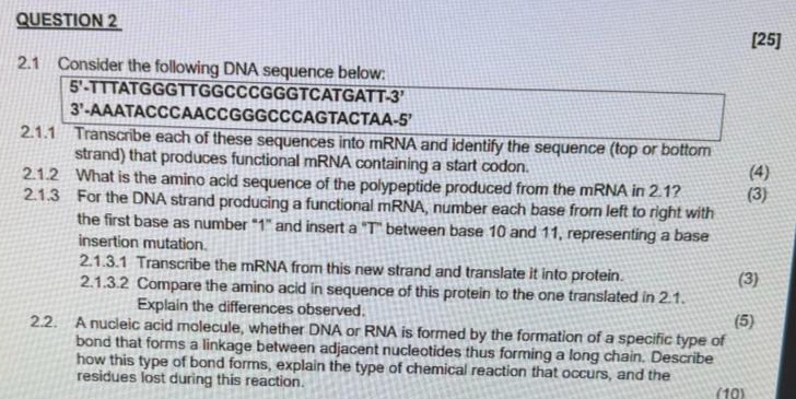Solved QUESTION 2[25]2.1 ﻿Consider the following DNA | Chegg.com