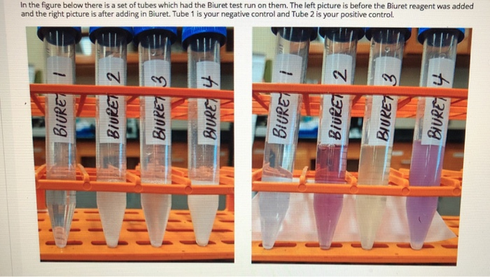 Solved In the figure below there is a set of tubes which had | Chegg.com