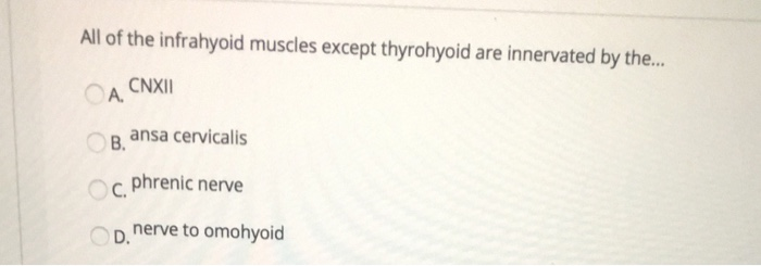 Solved kindly answer the following and the X,Y muscles name | Chegg.com