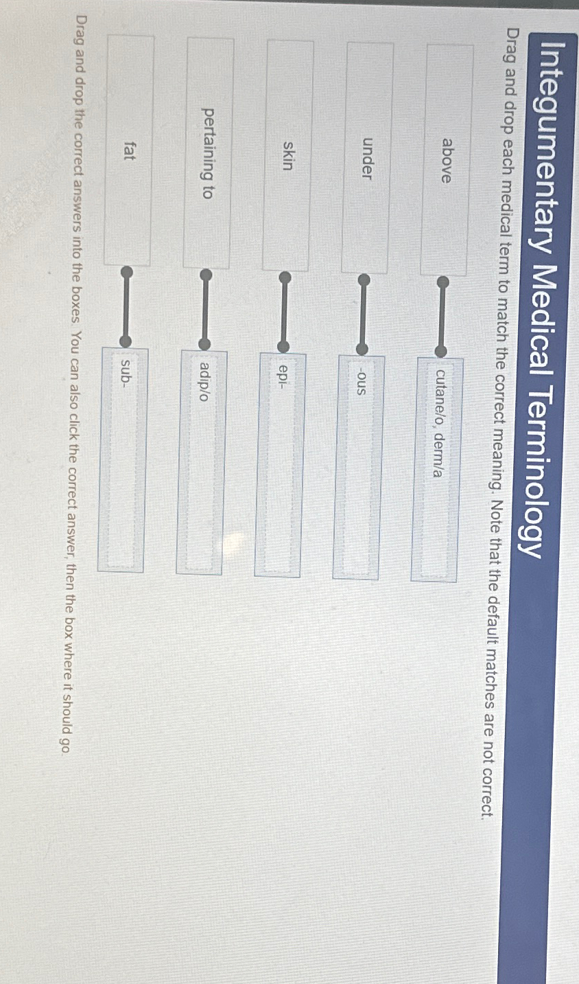 Solved Integumentary Medical TerminologyDrag and drop each | Chegg.com