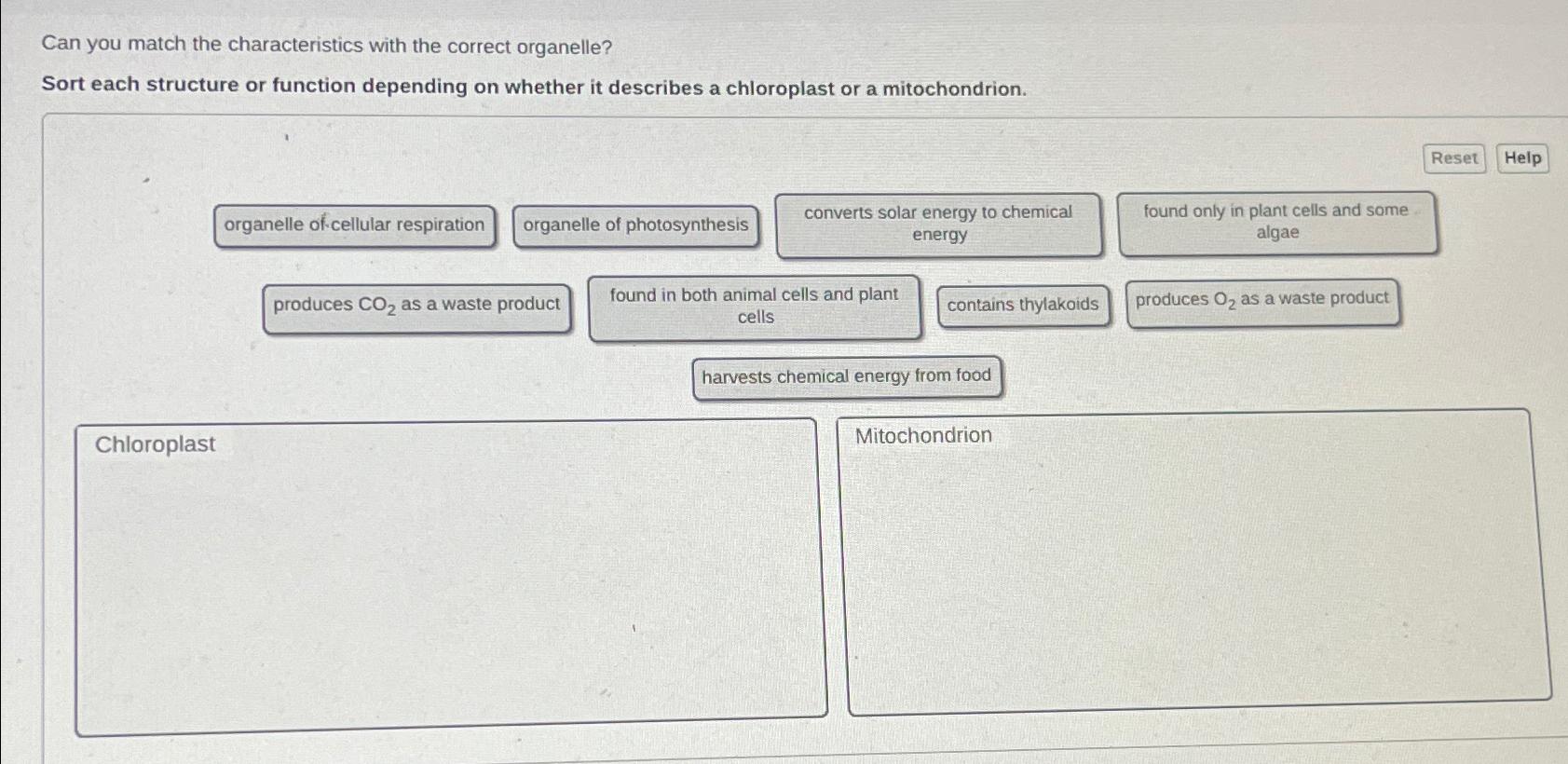 Solved Can you match the characteristics with the correct | Chegg.com