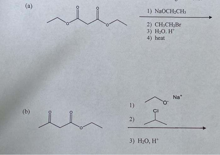 Solved (a) 1) NaOCH2CH3 2) CH3CH2Br 3) H2O. H 4) heat Nat 1) | Chegg.com