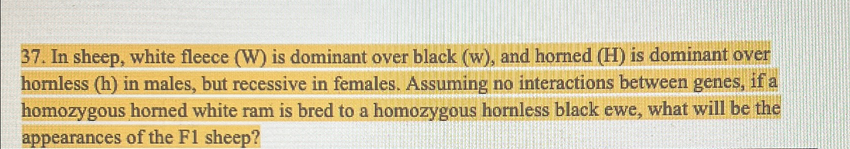 Solved In sheep, white fleece (W) ﻿is dominant over black | Chegg.com